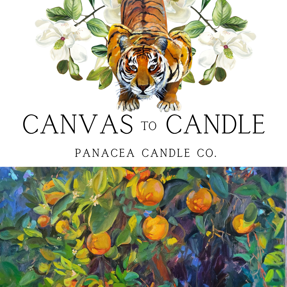 Canvas to Candle – Panacea Candle Co.